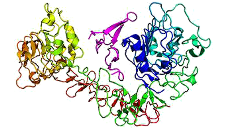 Using HPC to improve cancer treatments - Science and Engineering South